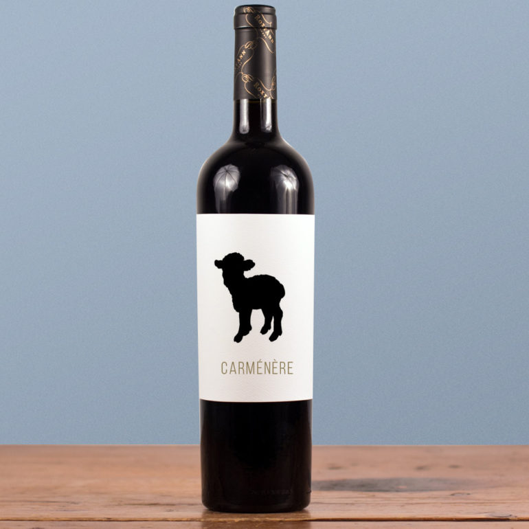 10 Cool Things to Know About Carménère Wine | Wine Folly
