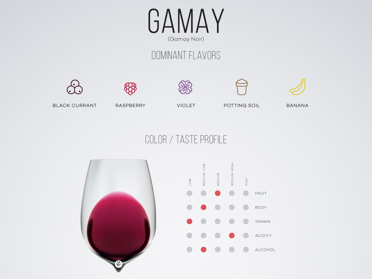 Taster s Guide To Gamay Wine Wine Folly Taster s Guide To Gamay Wine Wine Folly