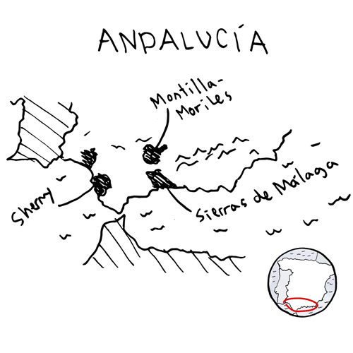 Map of Spain Wine Regions | Wine Folly