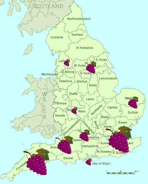 4 Unbelievable Wine Regions Wine Folly