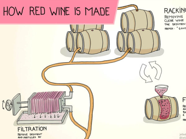 Common Types of Wine (top varieties to know) | Wine Folly