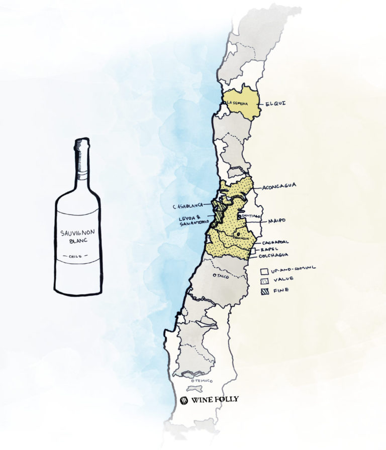 The Best Wines to Try From Chile | Wine Folly
