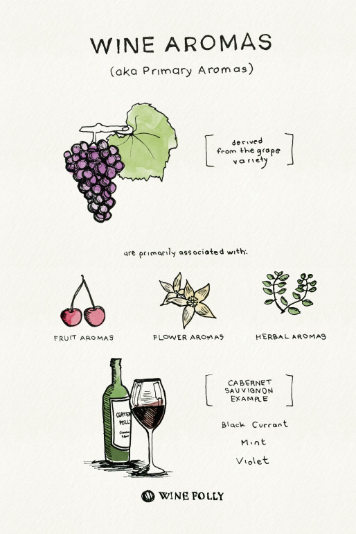 Tips On Tasting Wine Bouquet Vs Aroma Wine Folly tips-on-tasting-wine-bouquet-vs-aroma-wine-folly