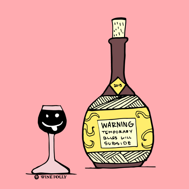 Why Drink Wine? (Comic) | Wine Folly